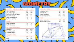 Mono Bicycle - Primos Cycles
