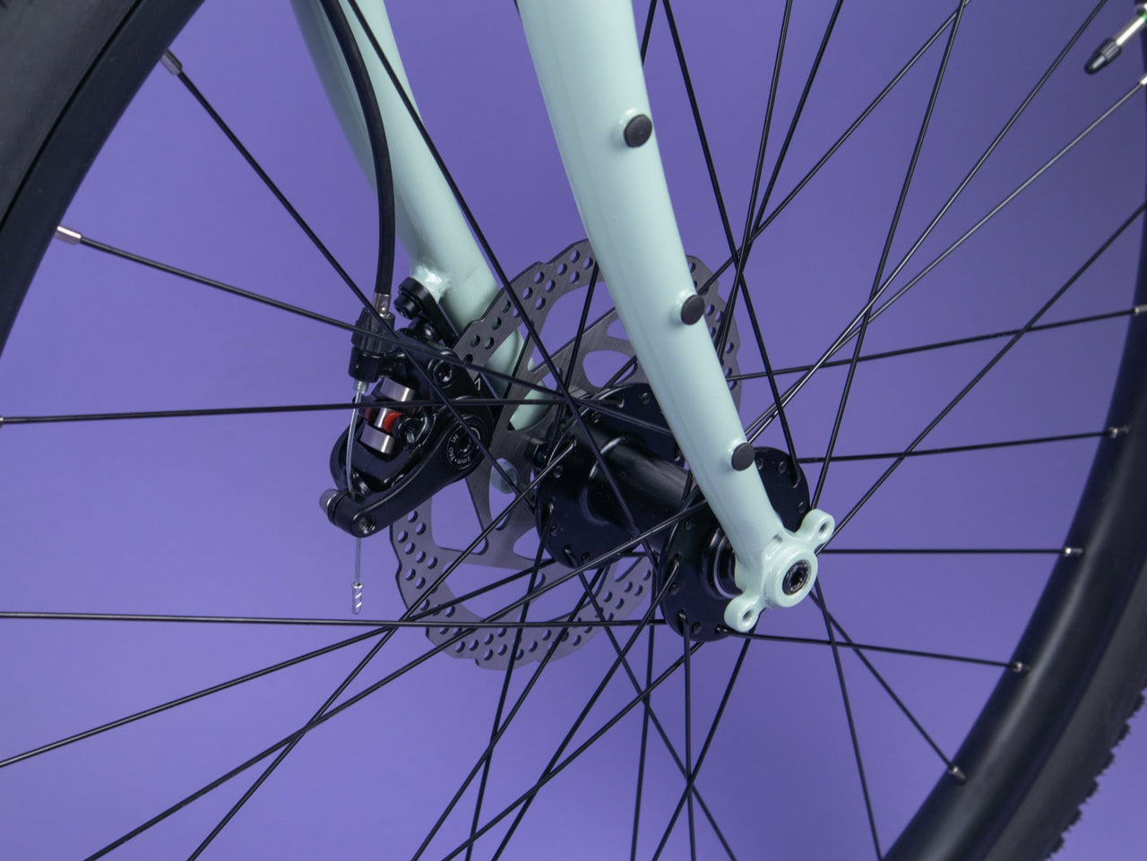 Dame Bicycle - Primos Cycles